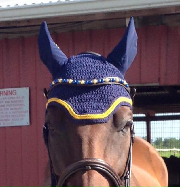 If The Bonnet Fits custom fly bonnets – Review