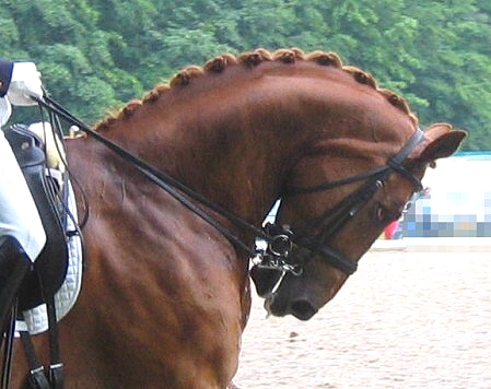 Dressage – what the hell is happening?