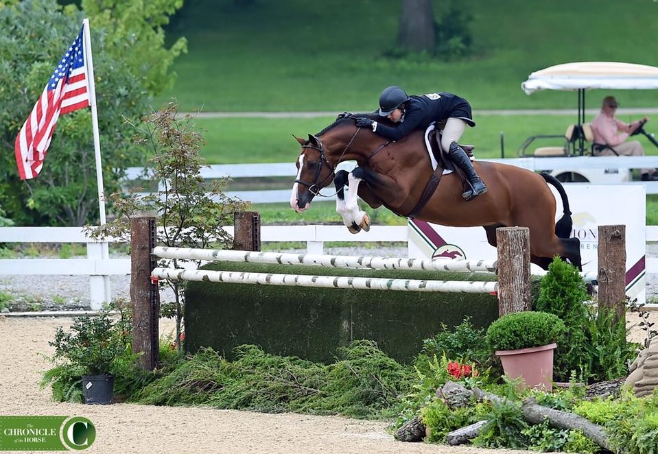 Sadie’s Newest Potential Suitor?