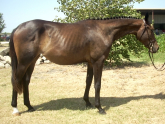 Inspections and what they mean