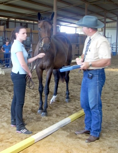 Inspections and what they mean