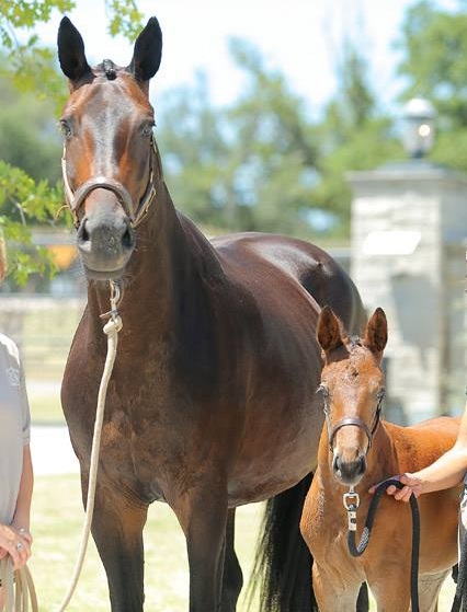 Inspections and what they mean