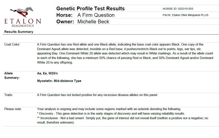 Equine Genetic Testing