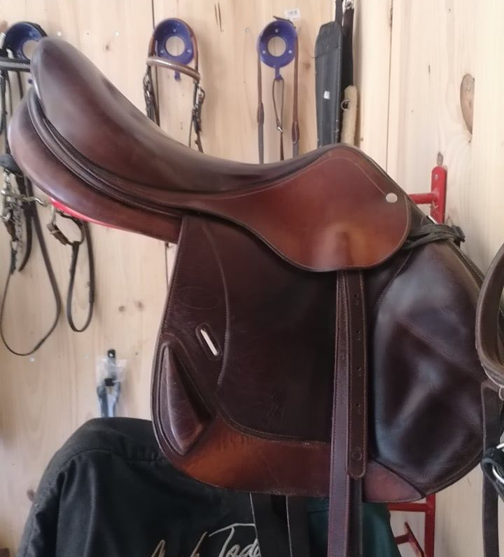 Baby’s First Saddle