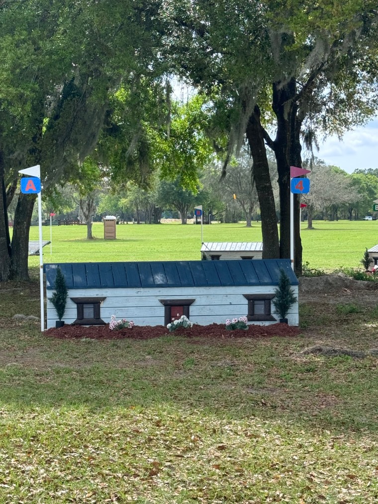 Ocala Winter 2 Recap: Cross Countryyyy