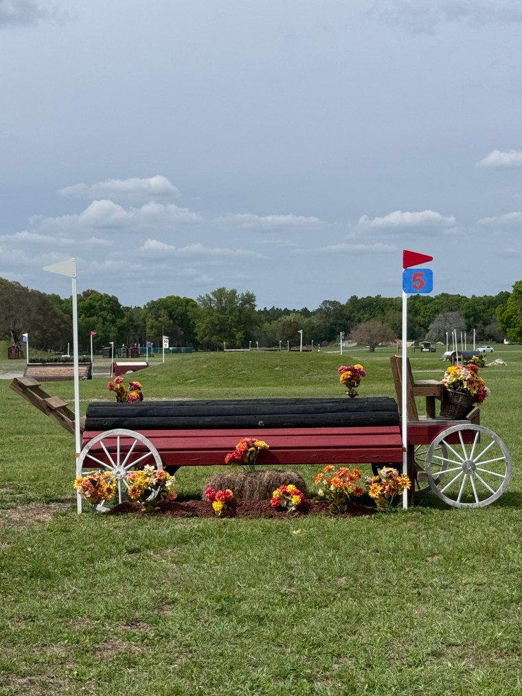 Ocala Winter 2 Recap: Cross Countryyyy