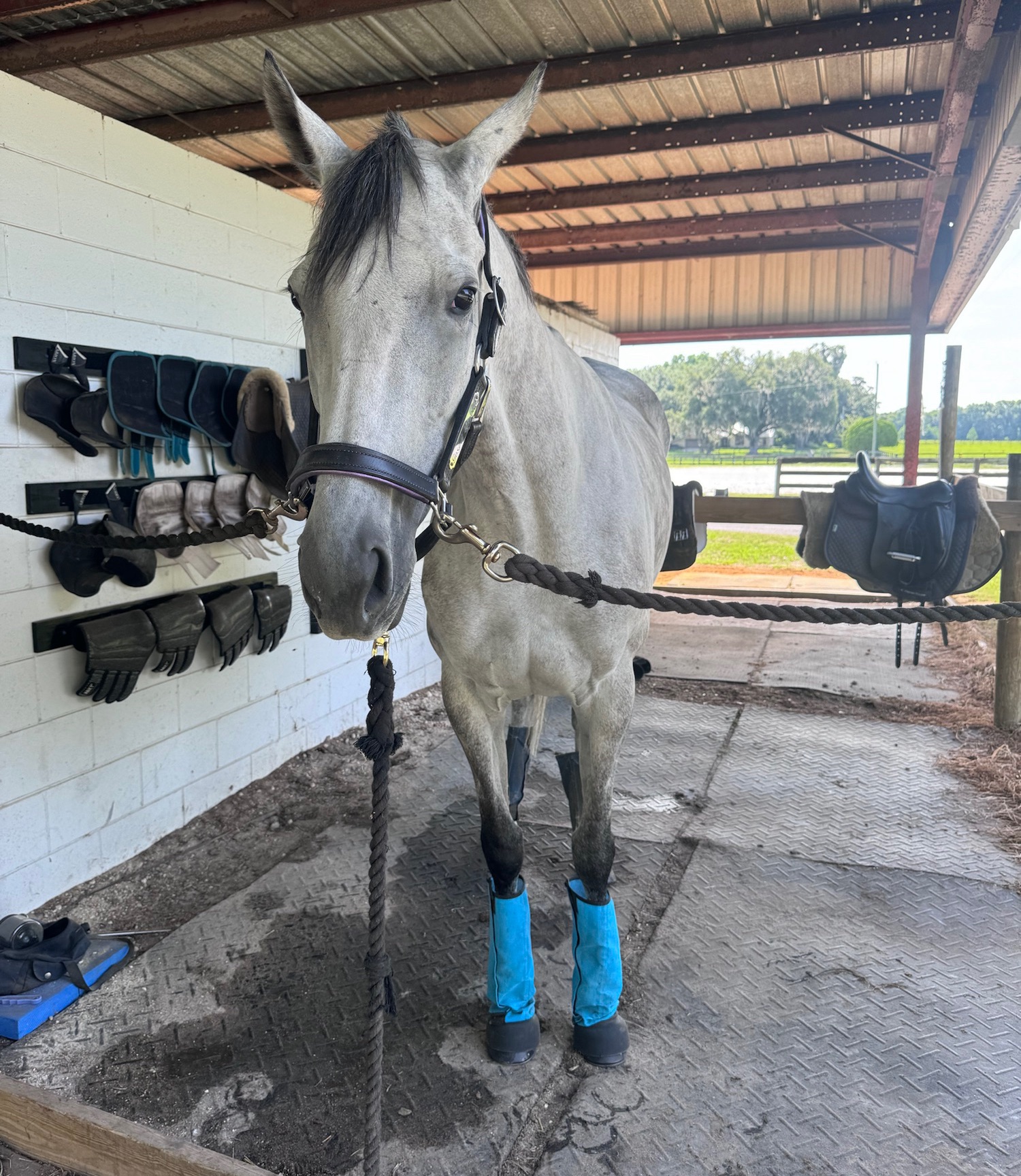 she’s not the biggest fan of crossties, but she’s figuring it out