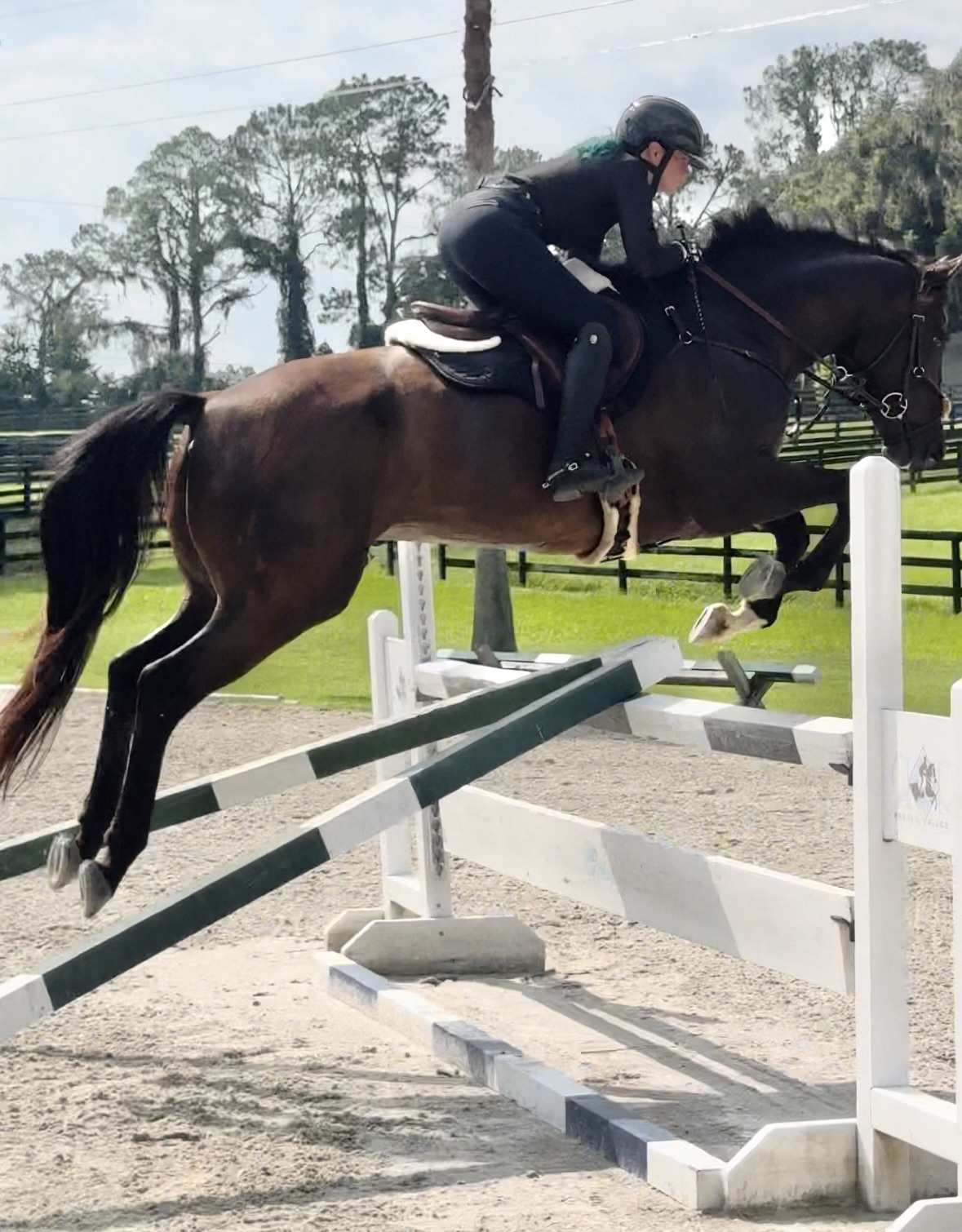 media from last week, since I didnt get any this week