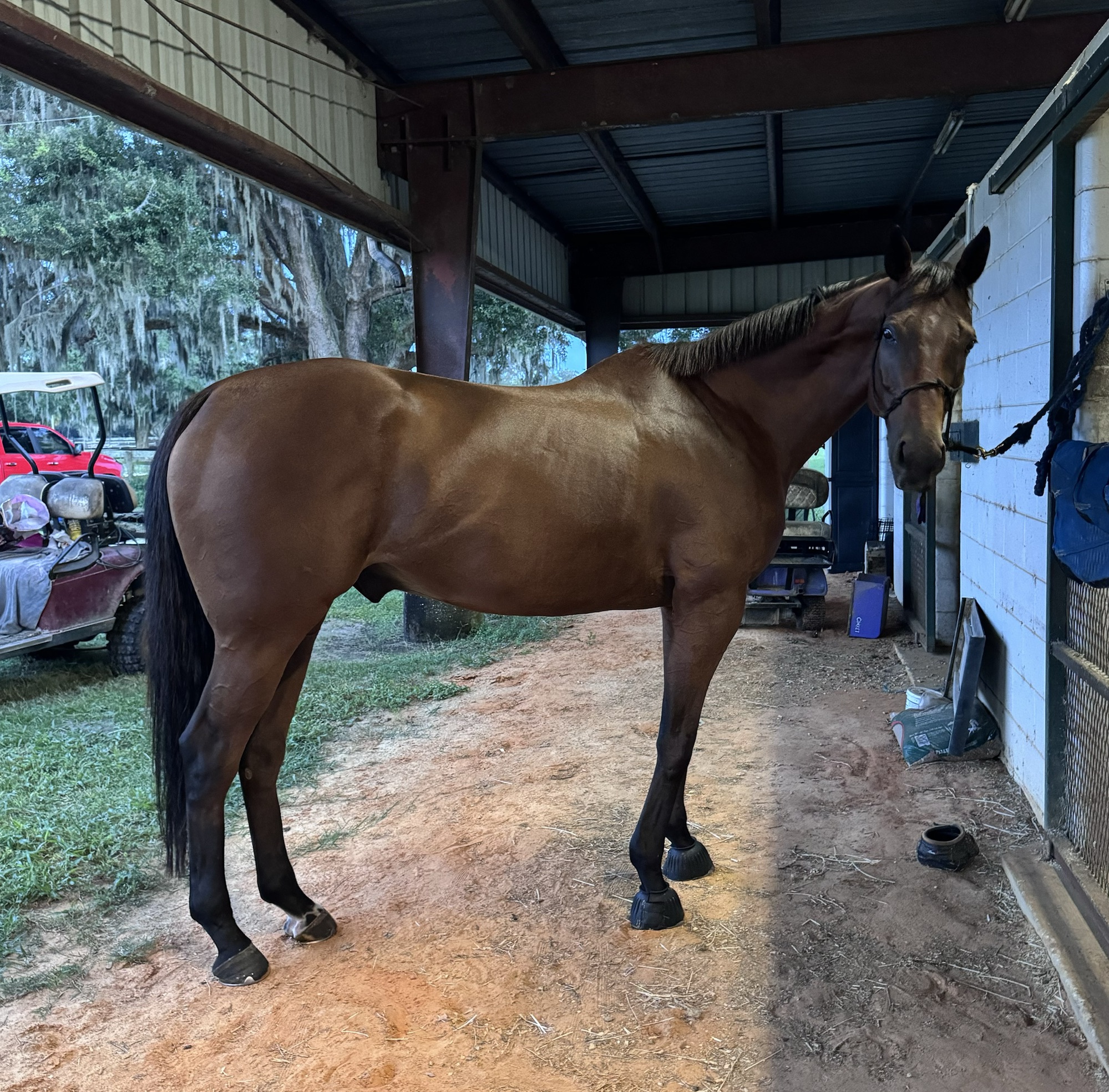 he’s high maintenance but he’s cute