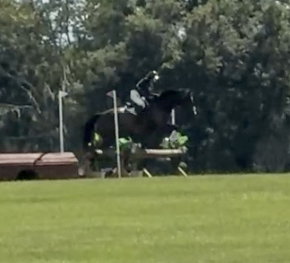 he had fun, at least