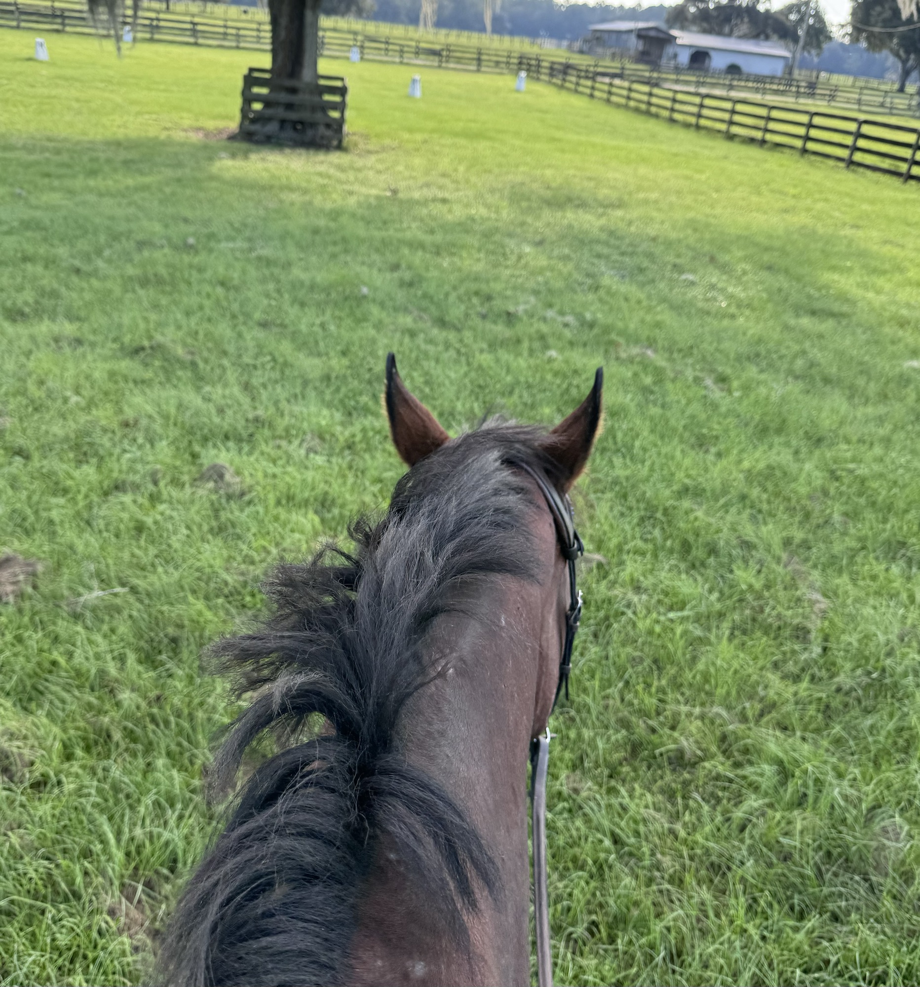 That one time I rode a horse
