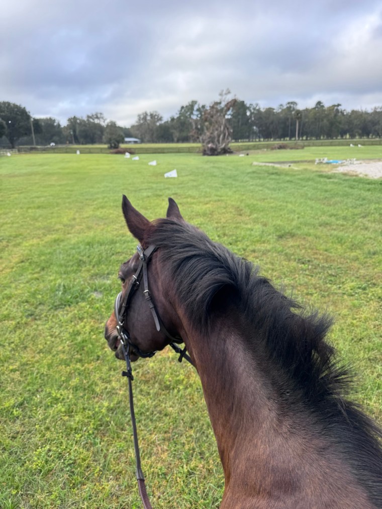 He snatched so much grass he couldn’t even chew it. Criminal.