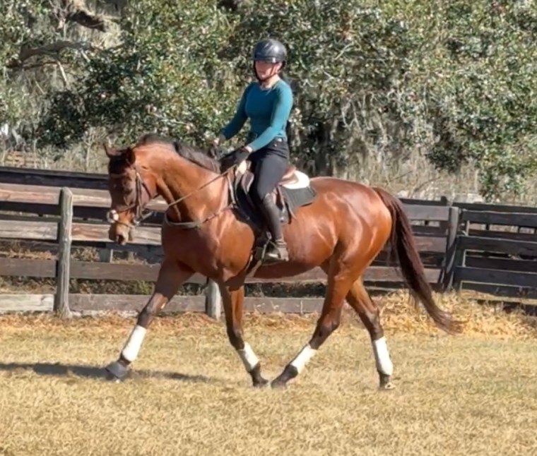 he understood the “filling out” assignment