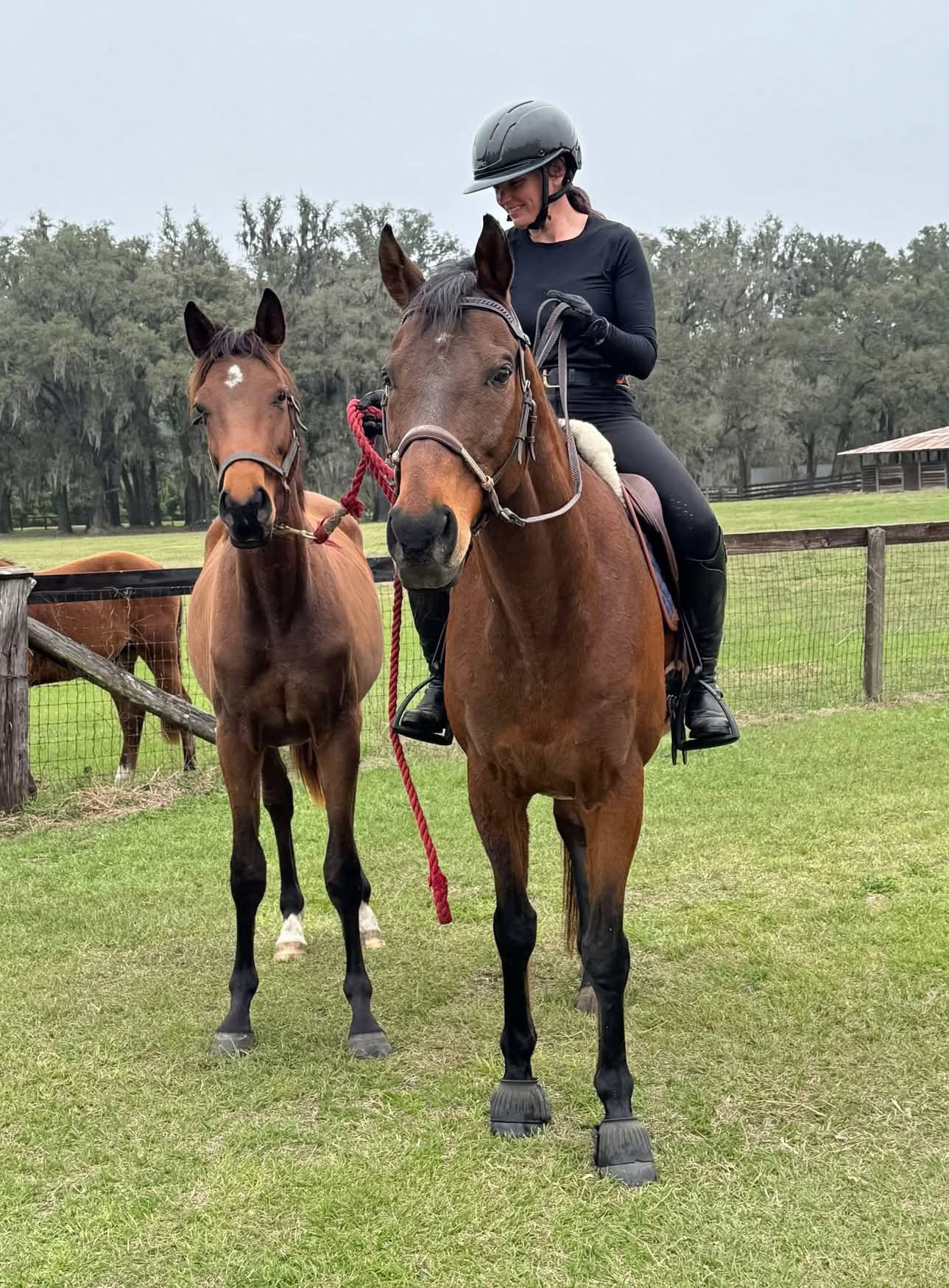 Andy is appropriately terrified of him, which Henry enjoys