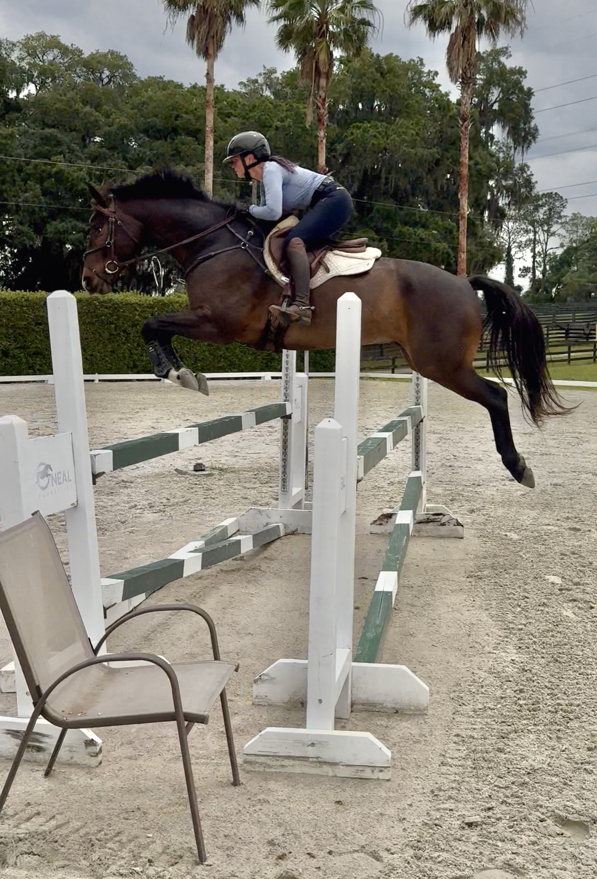 Another jumping bean