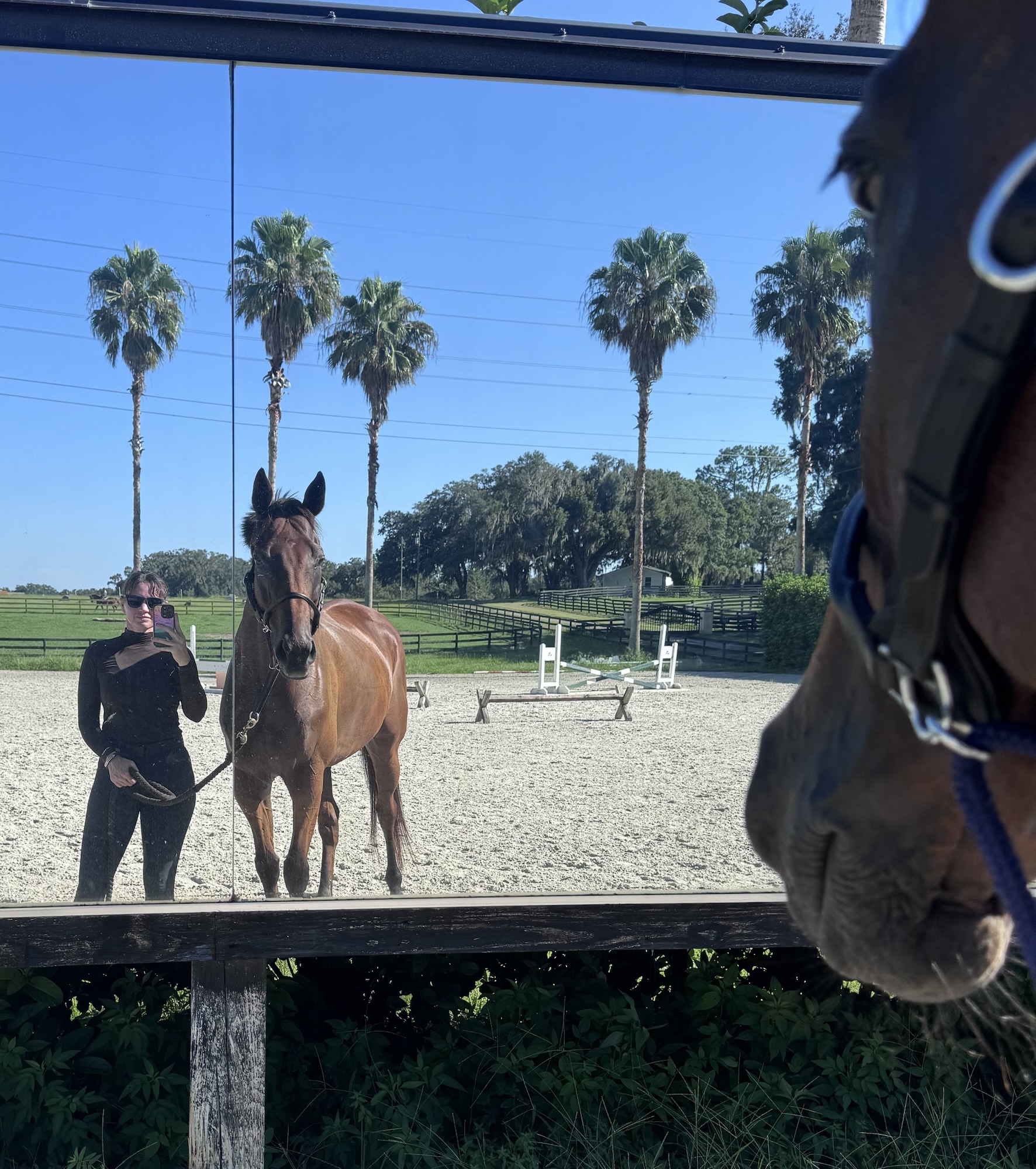 his first mirror selfie